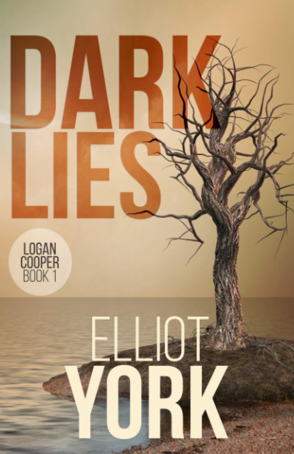 Amazon.com: Dark Lies: A pulse-pounding crime thriller (Detective Logan ...