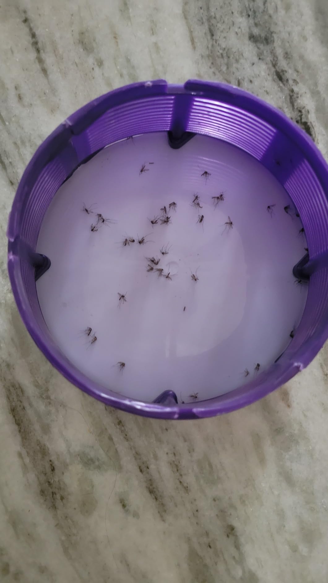 Freshwind Fusion Mosquito Trap Machine Eco Friendly Electronic LED ...