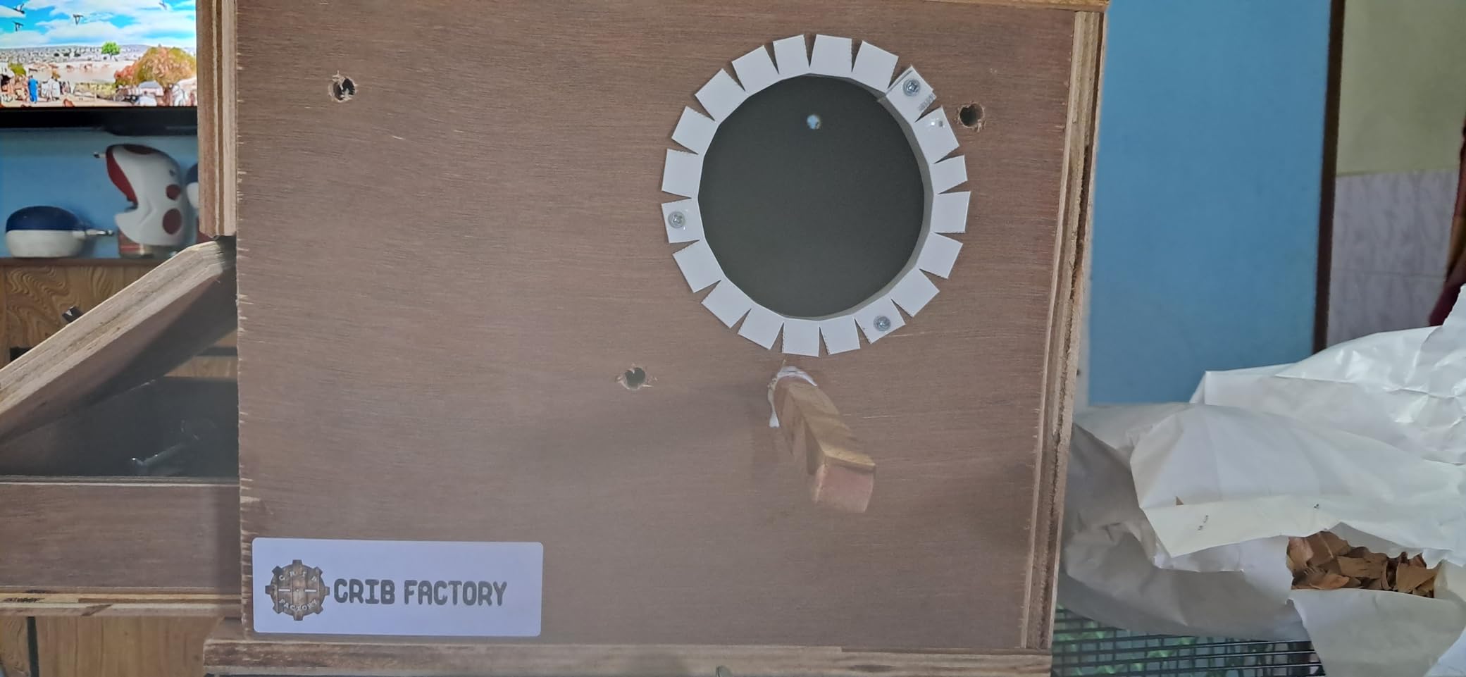 Crib factory Perfect Breeding Box for cockatiel birds | HIGH-QULTY ...