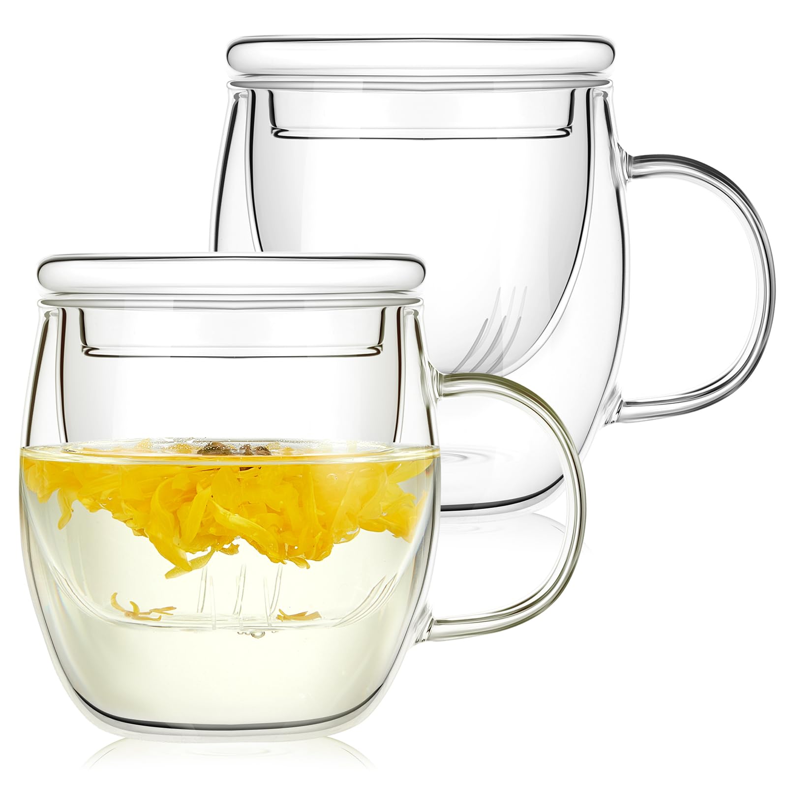 Amazon.com: Rtteri 2 Pcs Glass Tea Cup with Infuser and Lid 17 Oz/ 500 ...