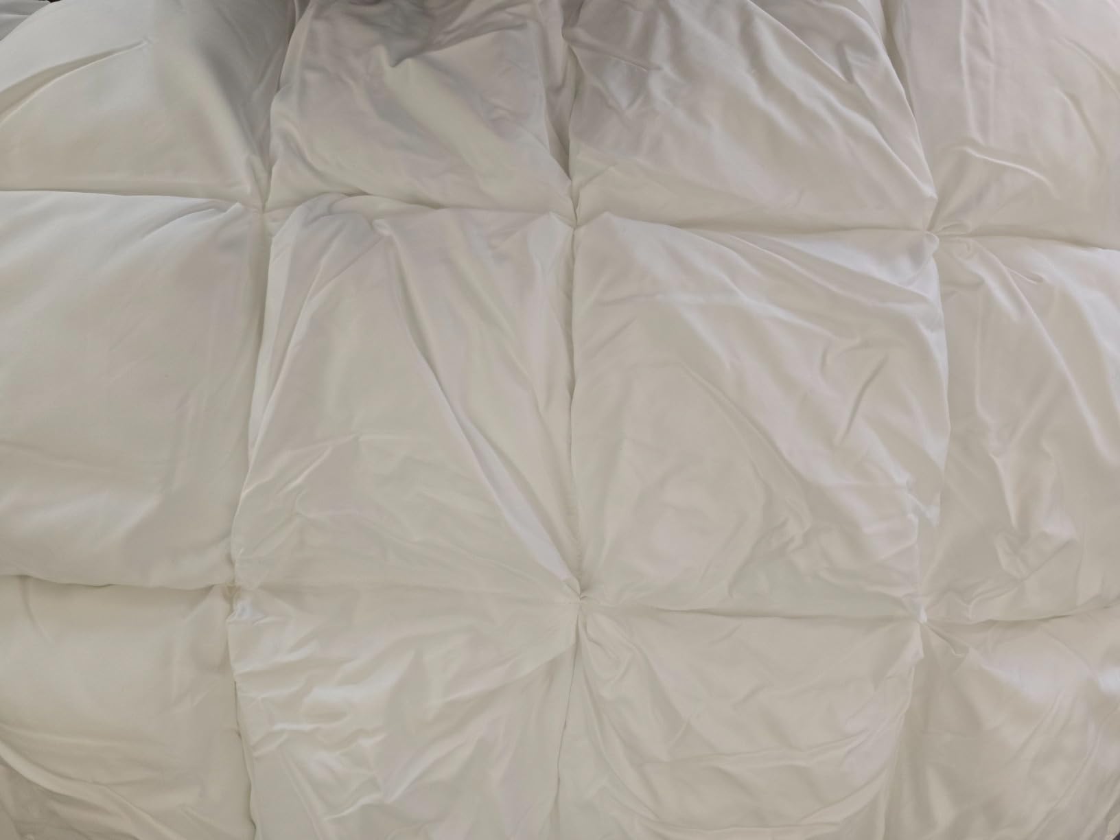 Amazon.com: Madison Park Standard Pillowcase Puffy Pillow Protector ...