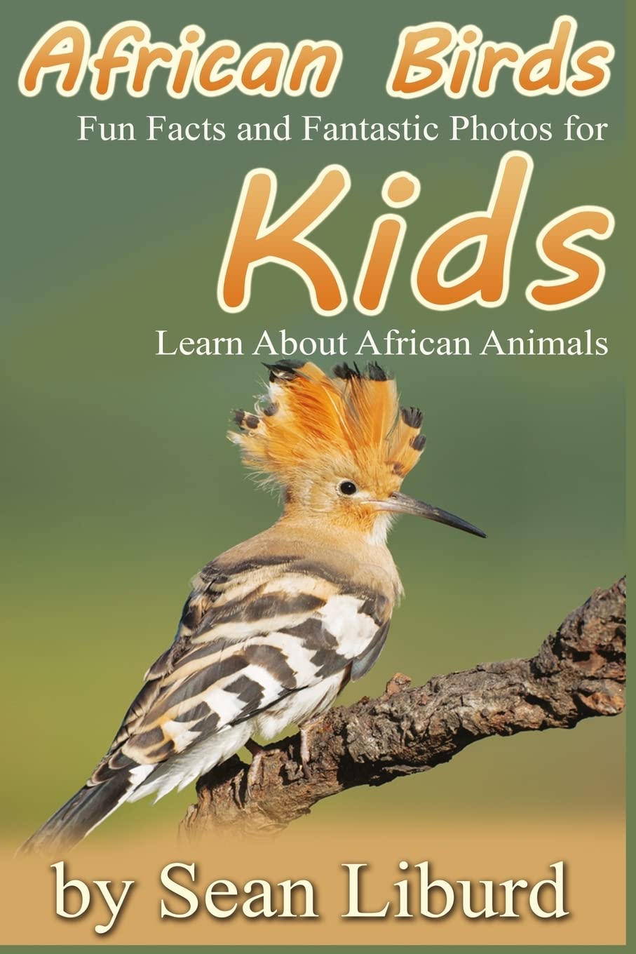 African Birds: Fun Facts and Fantastic Photos for Kids! Learn About ...