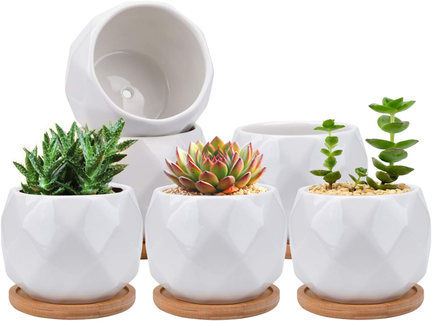 Amazon.com : HANJION 4 inch Ceramic Succulent Plant Pots Set of 4 with ...