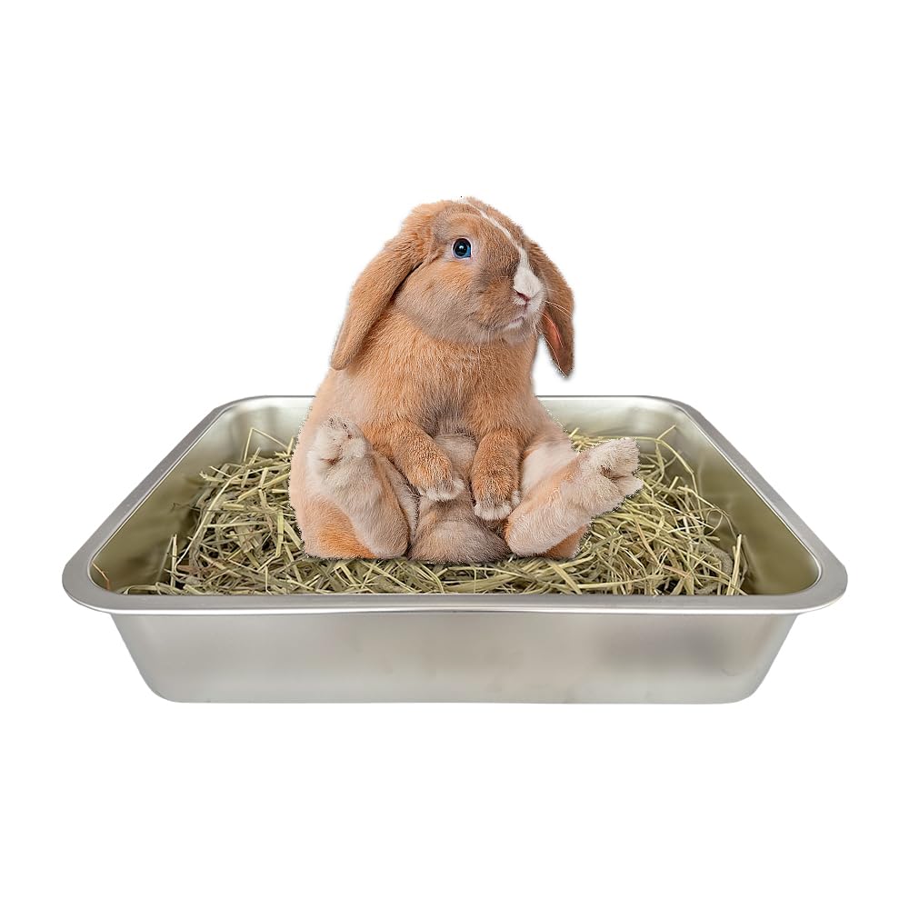 Amazon.com : Large Stainless Steel Litter Box for Rabbits, Guinea Pigs ...
