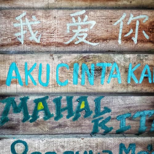 Go Borderless : School of Languages and Cultures at the University of ...