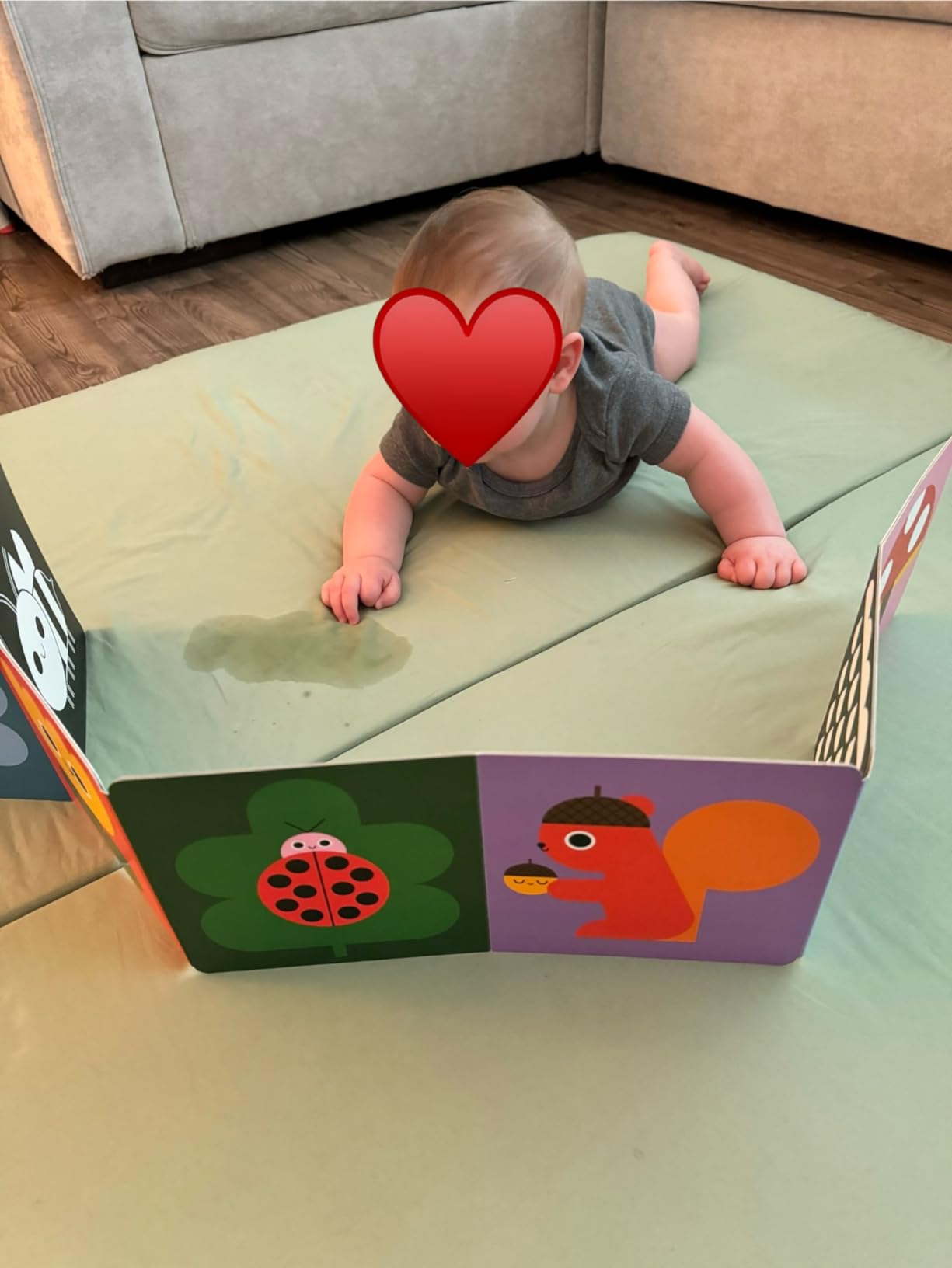 My Tummy Book Nature: High-Contrast Fold-Out Book That Stands for Tummy ...