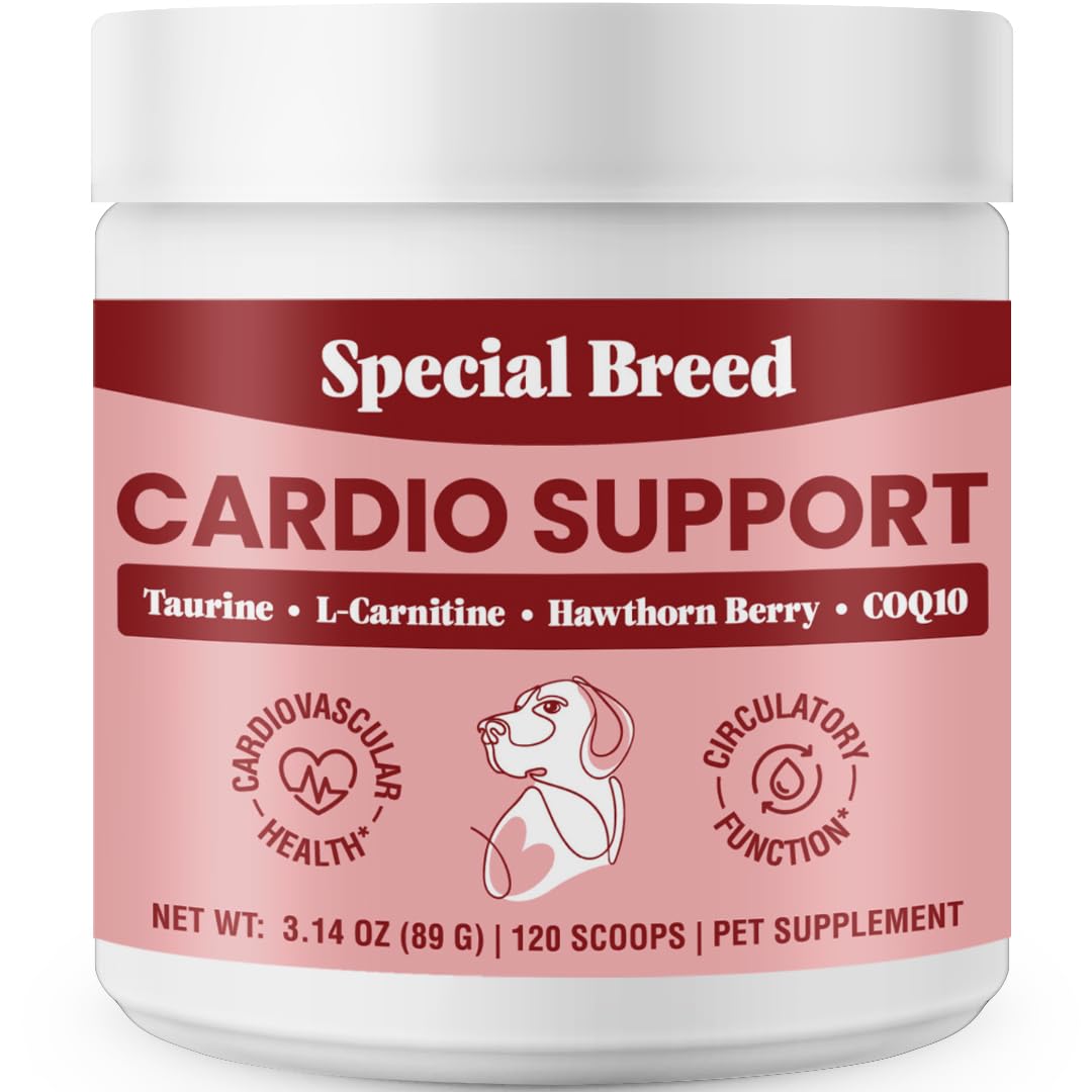 Amazon.com: Special Breed Cardio Support for Dogs - Heart Health ...
