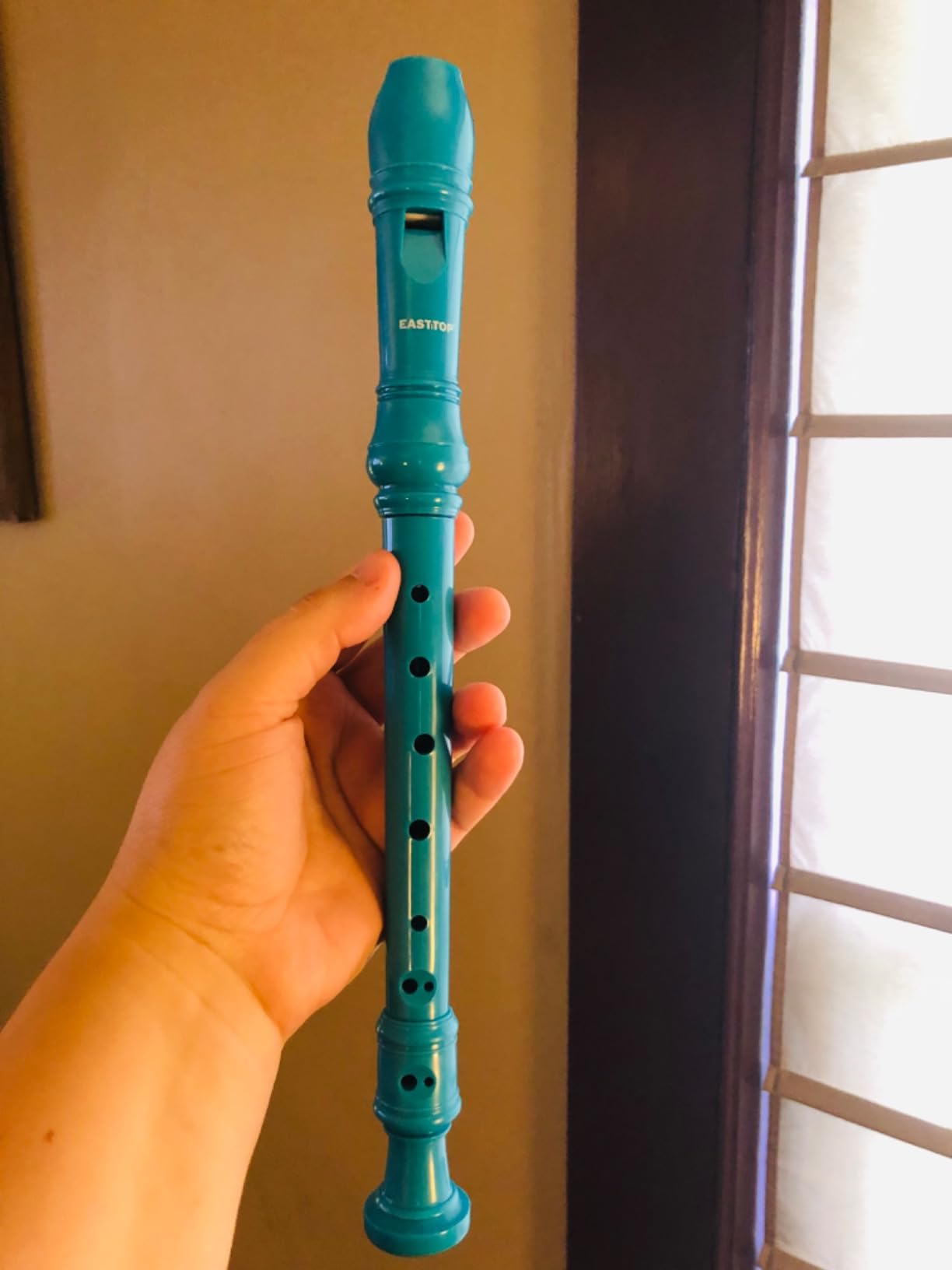 $2/mo - Finance EAST TOP Soprano Recorder for Kids Beginners, 8 Hole ...