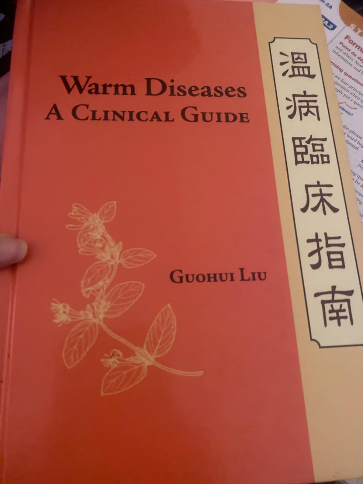 Warm Diseases: A Clinical Guide: Liu, Guohui: 9780939616343: Amazon.com ...