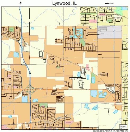 Amazon.com - Large Street & Road Map of Lynwood, Illinois IL - Printed ...