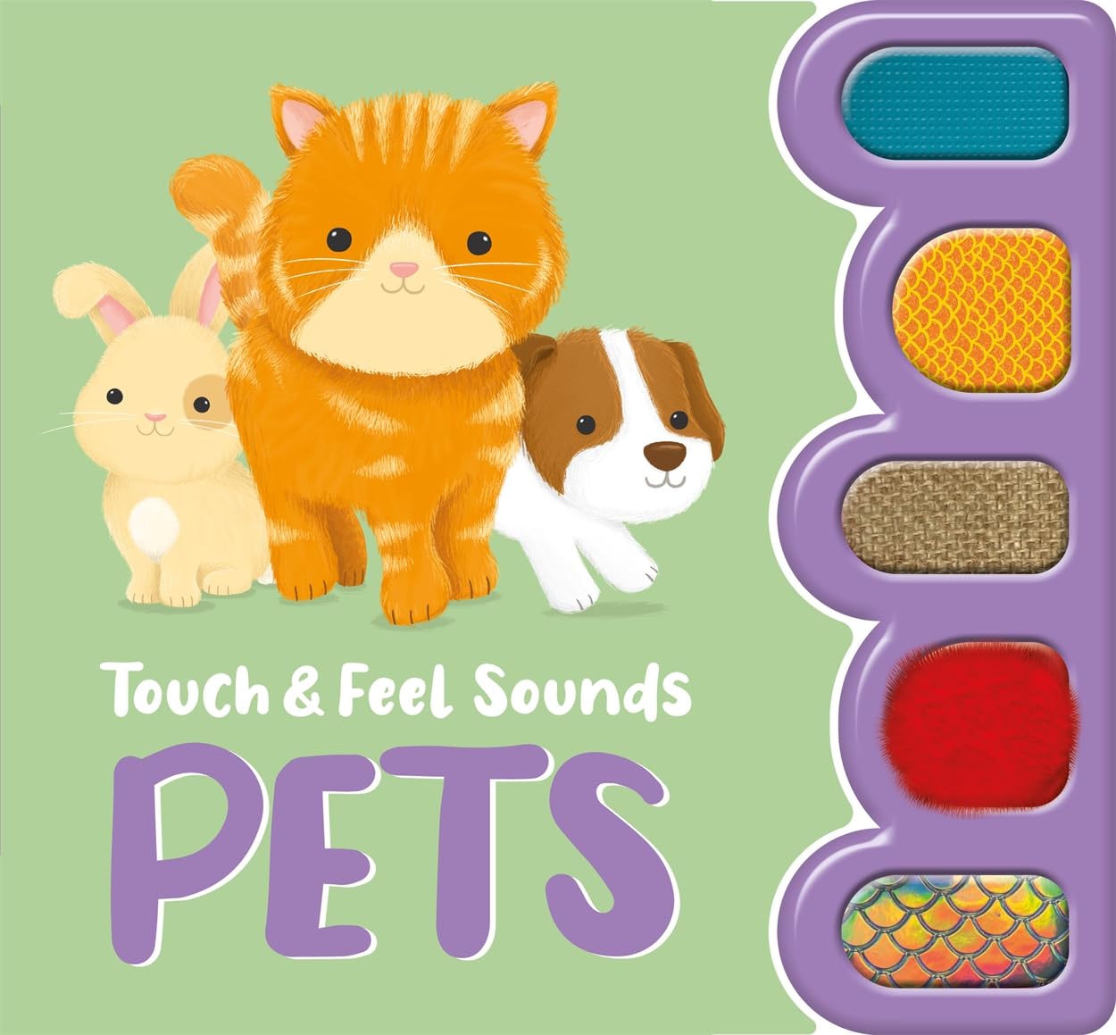 Touch & Feel Sounds: Pets : Igloo Books: Amazon.co.uk: Books
