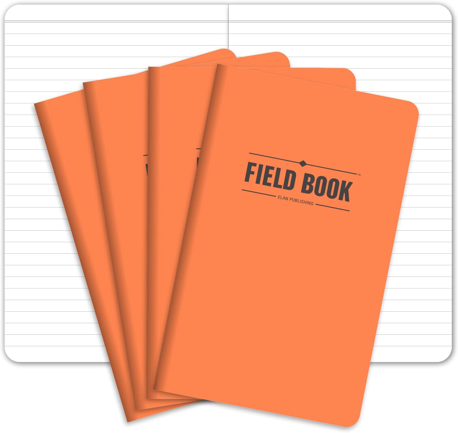 Amazon.com : Elan Publishing Company Field Notebook/Journal - 5"x8 ...