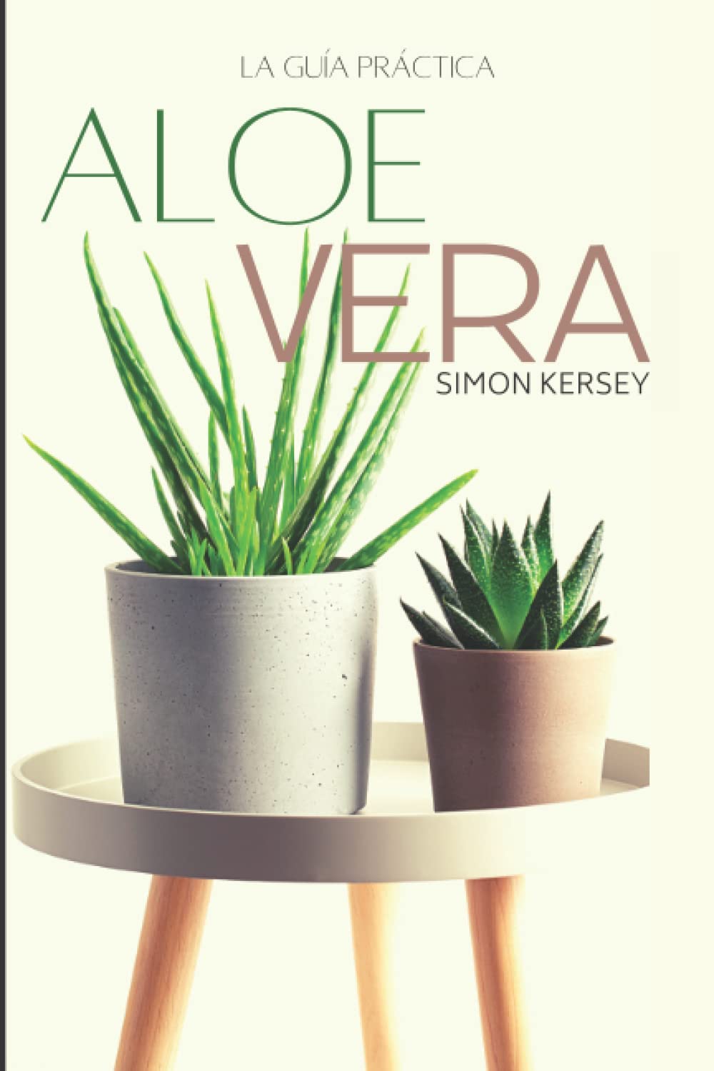 Buy ALOE VERA: Una guía completa de una a increíble | Aprenda a hacer ...