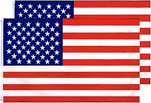 Amazon.com : ZHECHUANG American Flag 4x6 ft, Vibrant Color & Fade Resistant, Made of Long ...
