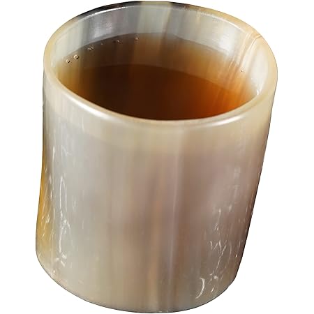 Amazon.com | Museum Replicas Viking Drinking Horn Shot Glasses ...