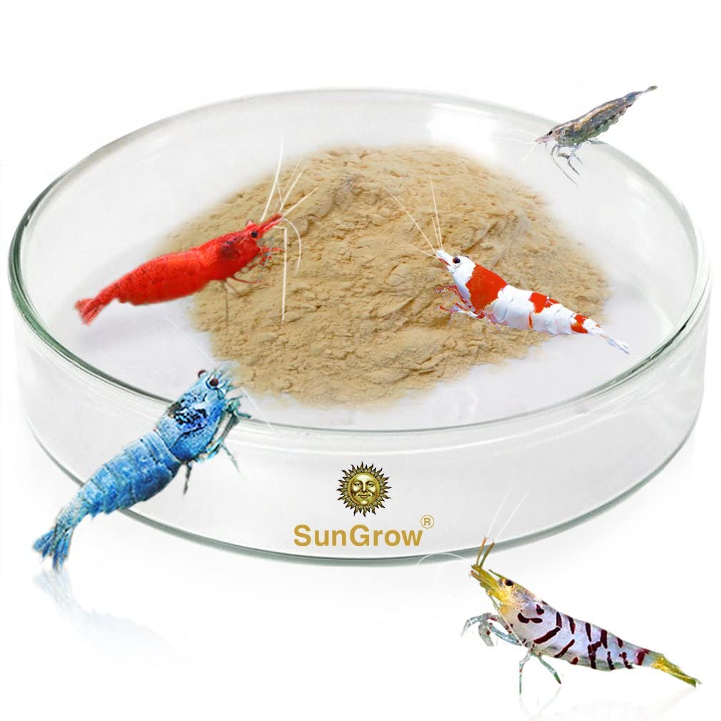 Snapklik.com : SunGrow Tough Borosilicate Glass Shrimp & Gecko Feed Dish