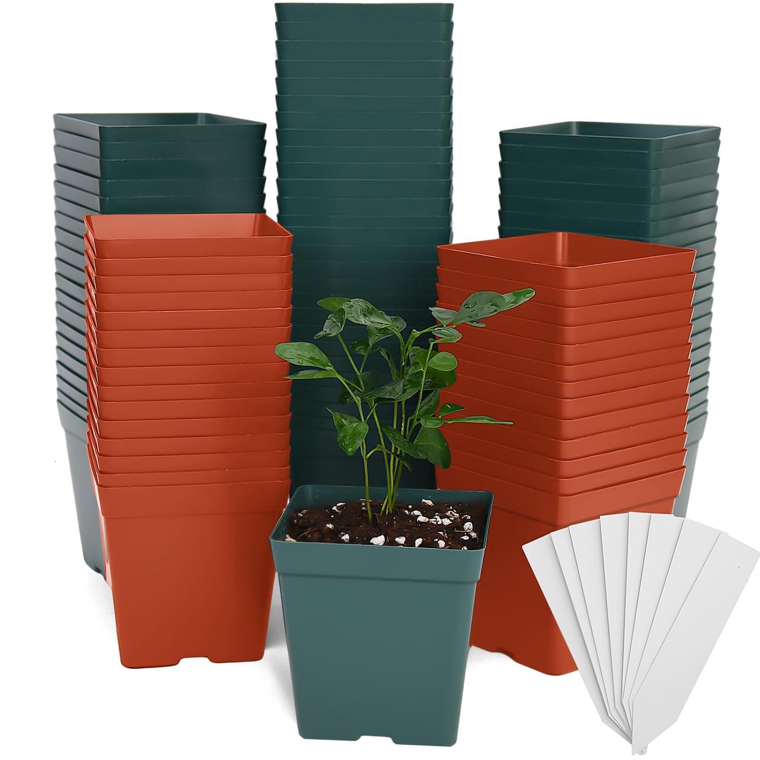 5 Best Greenhouse Plant Pots | 30% More Root Room Per Pot