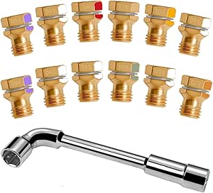 Amazon.com: GRLP4 LP Gas Conversion Kit – 12-Piece Brass Propane ...