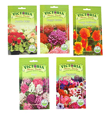 5 Variety Deluxe JK Agro Beautiful Flower Seeds Garden Plant Gift (100% ...