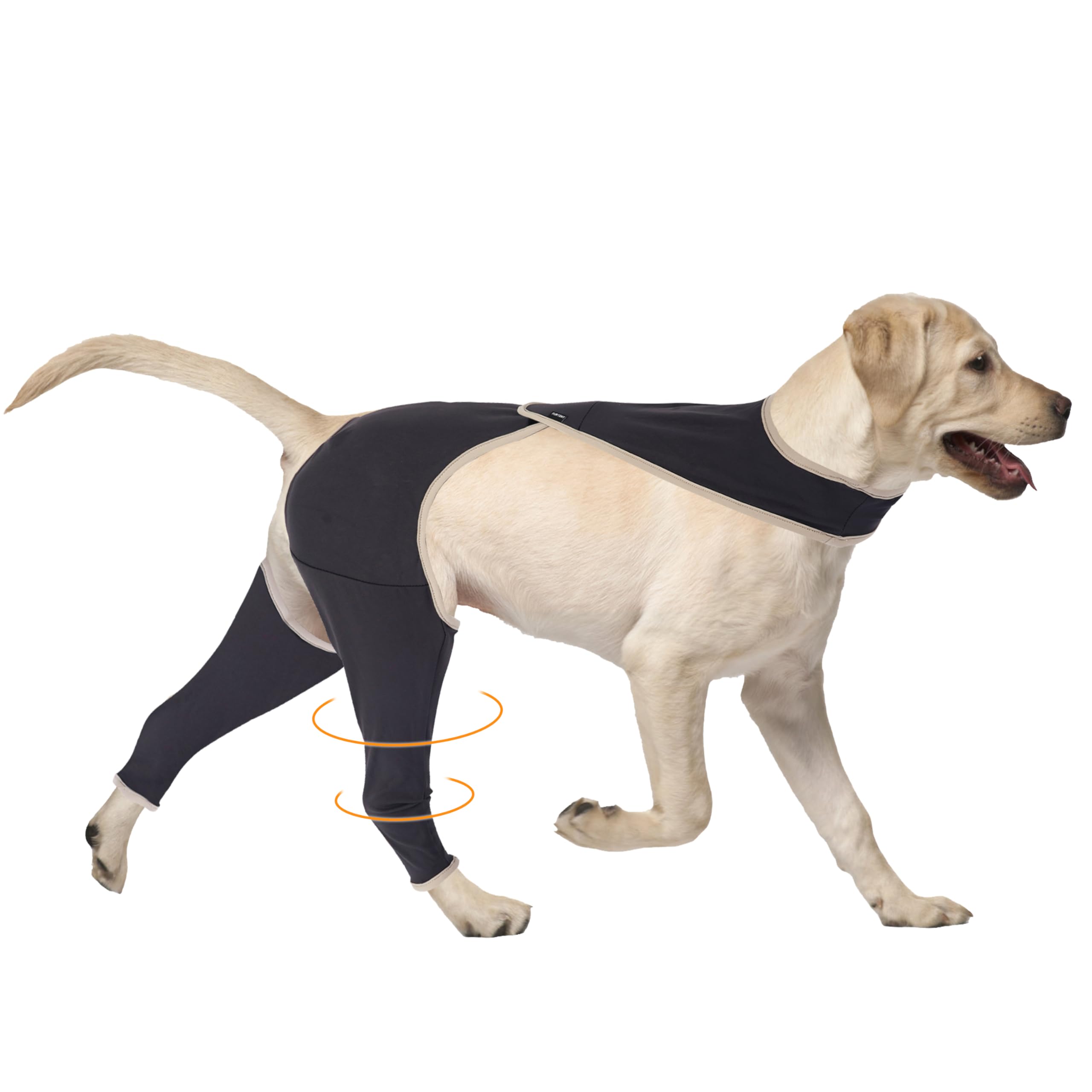 Amazon.com : Dogs Rear Leg, Professional Dog Recovery Suit, Soft and ...