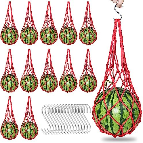 Amazon.com : 30 Packs Watermelon Hammock Mesh Bags-2 Colors Melon ...