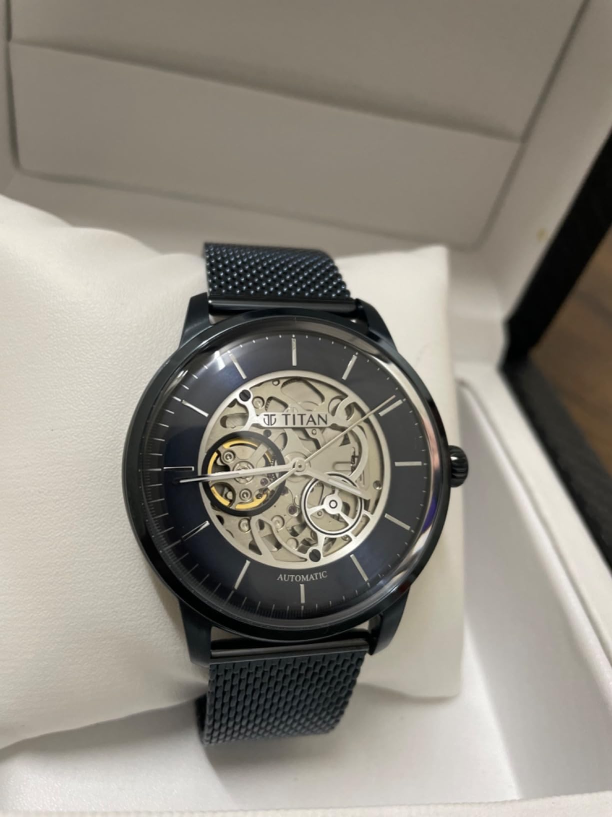 Titan Mechanical Skeleton Automatic Watch for Men
