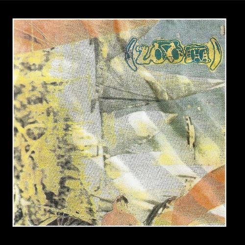 Amazon.com: Zoom: CDs & Vinyl