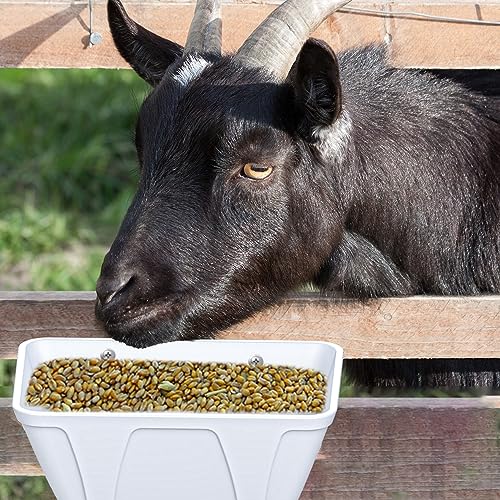 Snapklik.com : Mozoba Hanging Chicken Feeder Trough For Goat Sheep Deer ...