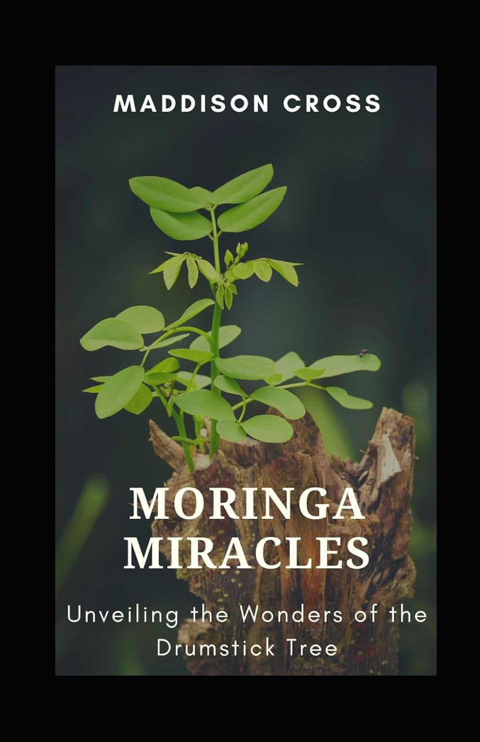 Buy Moringa Miracles: Unveiling the Wonders of the Drumstick Tree Book ...