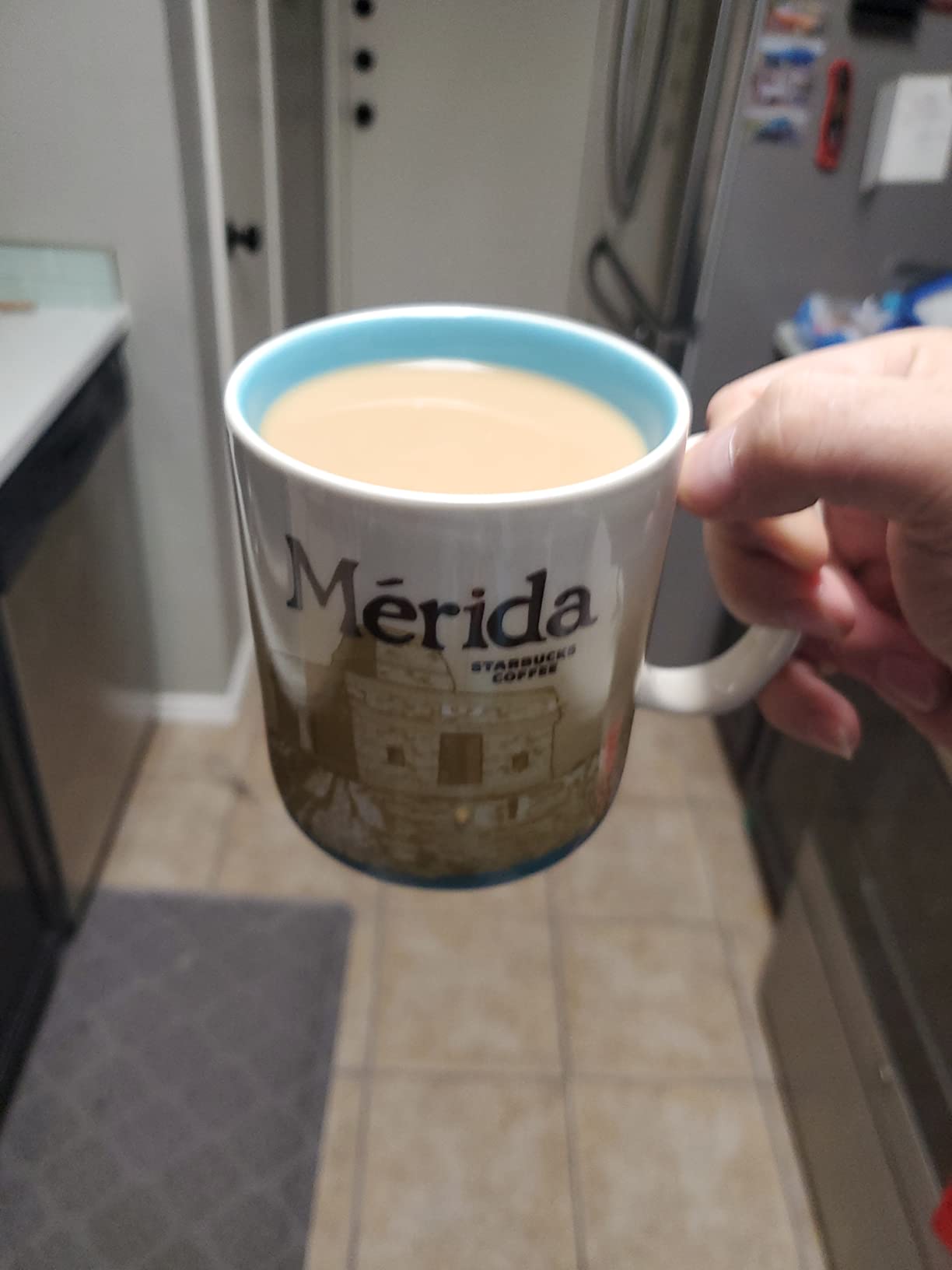 Amazon.com | Starbucks Merida Global Icon Collection Mug Mexico 16 Oz ...