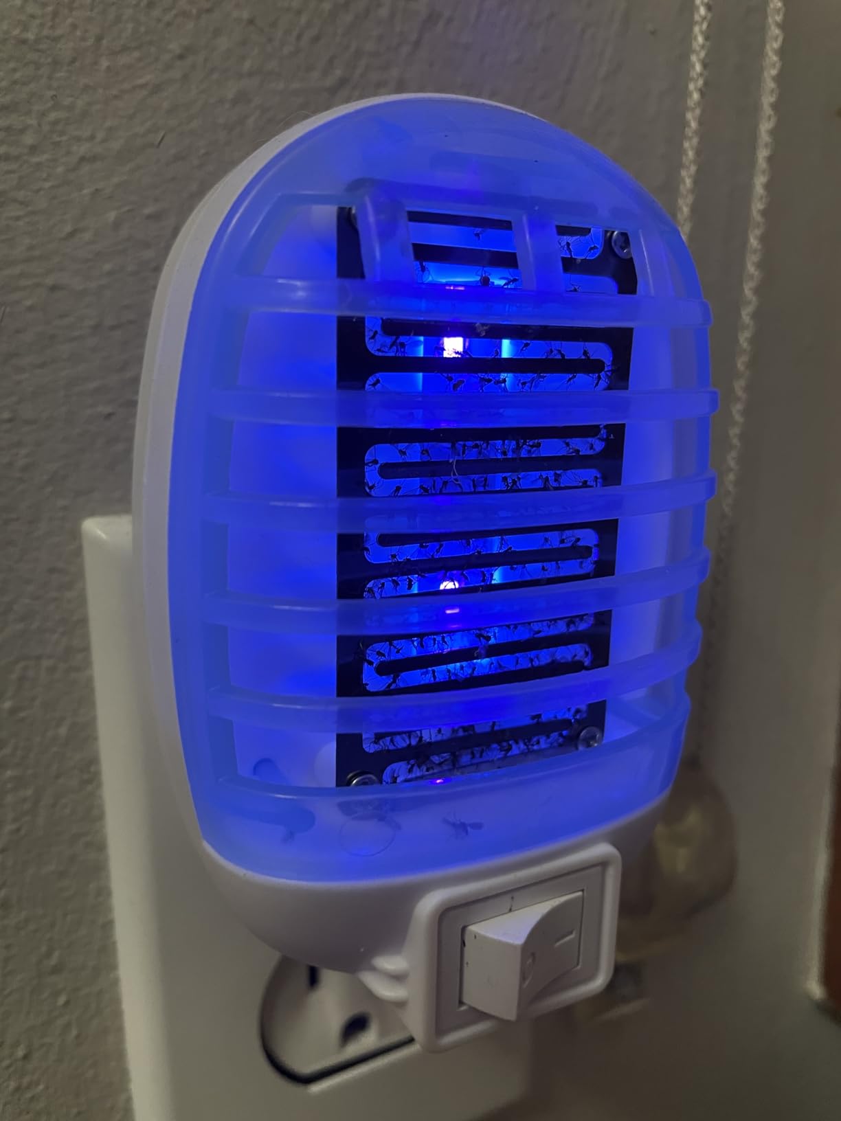 Watch 4 bug zapper on Amazon Live