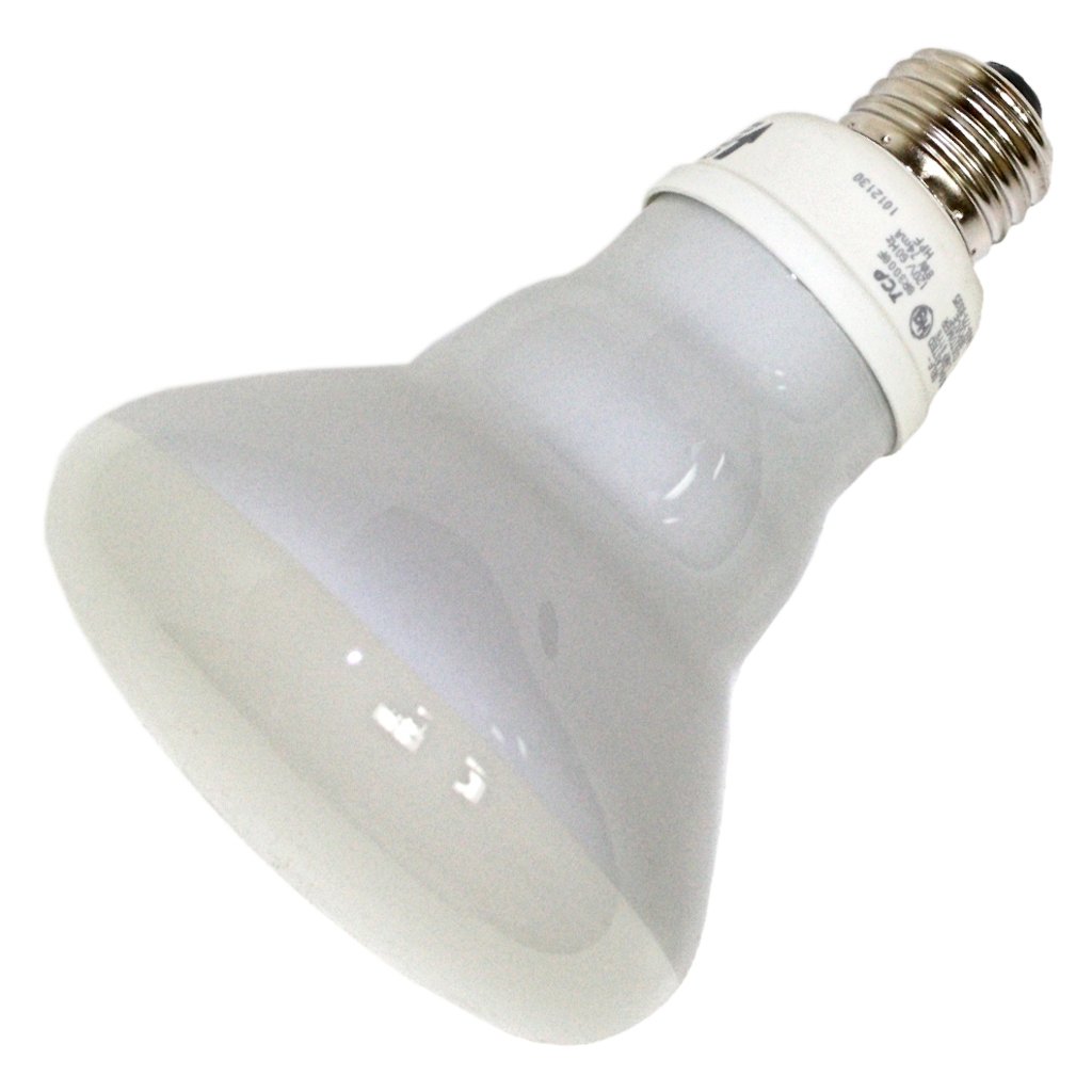 TCP 8R3008F 8-watt Cold Cathode Light Bulb R30, Frost, 2700-Kelvin ...