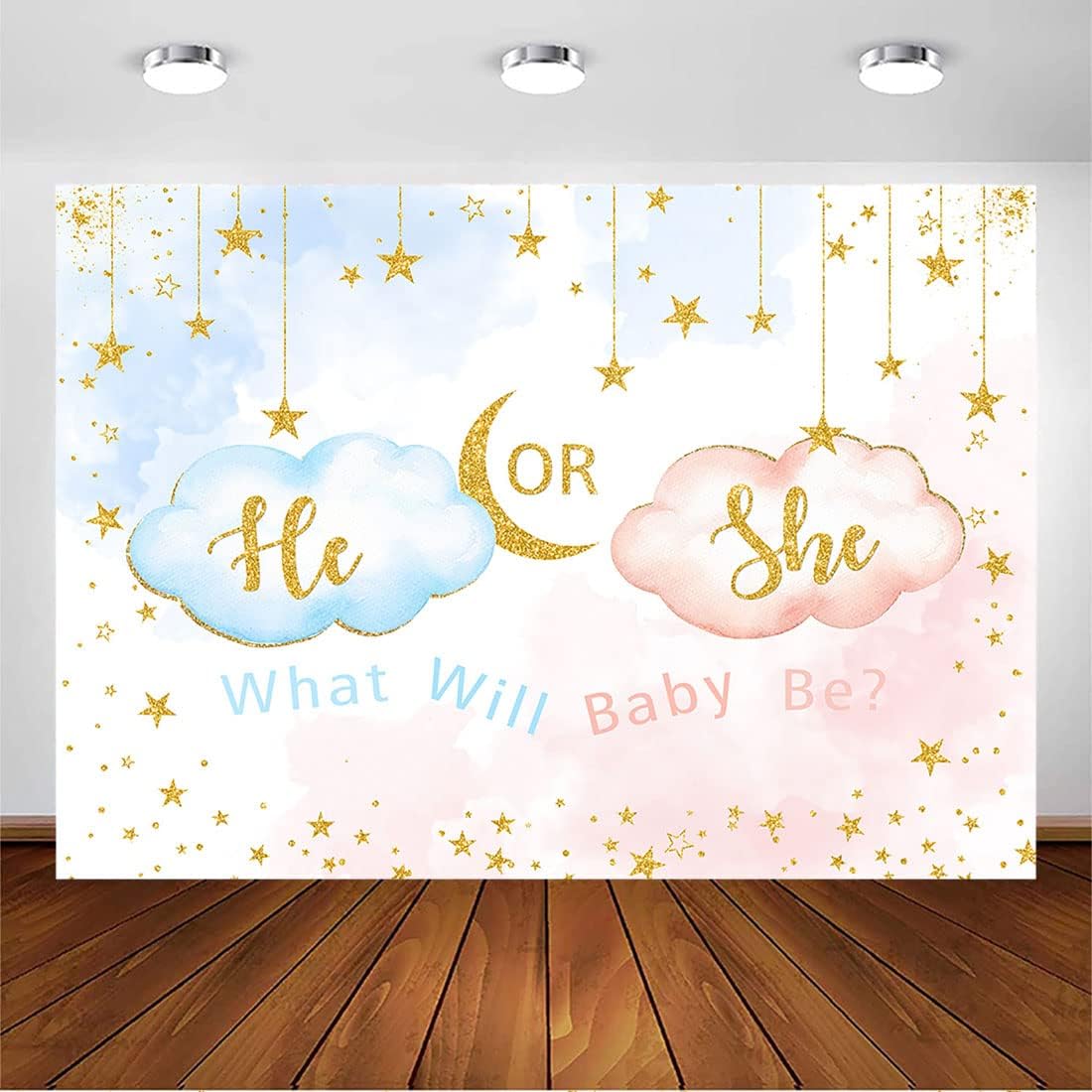 Avezano He or She Gender Reveal Backdrop Pink and Blue Cloud What Will ...