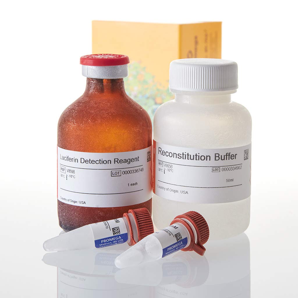 Amazon.com: P450-Glo CYP2C8 Assay, 50ml : Industrial & Scientific