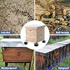 Amazon.com : DECOHS 3 Sets/12Pcs Beehive Stands- Sturdy Beehive Feet ...