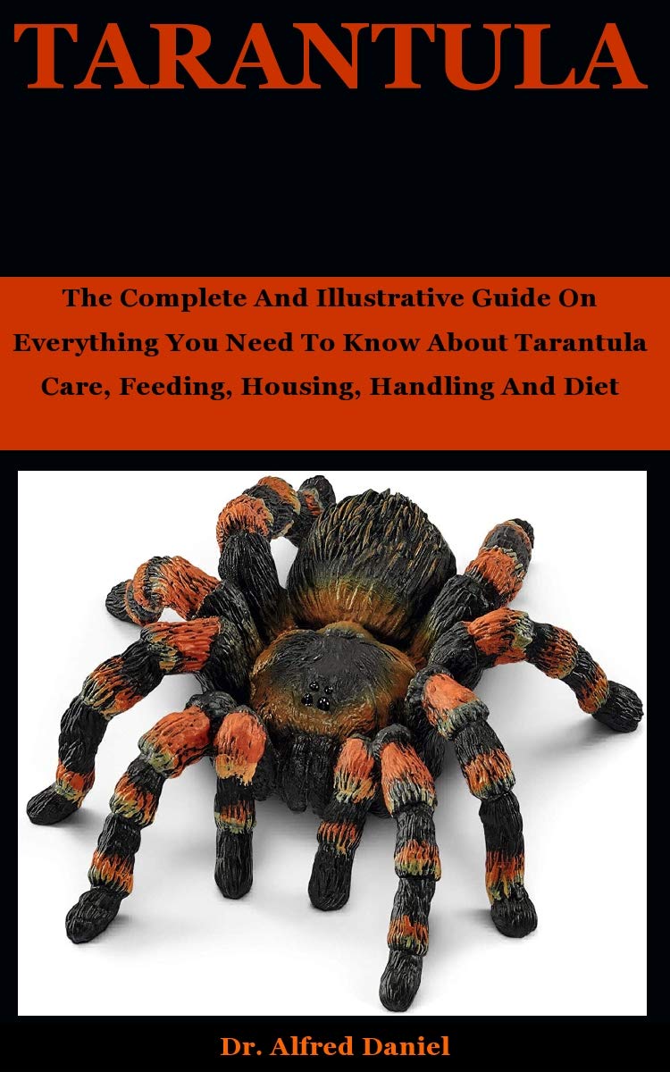 Tarantula The Complete And Illustrative Guide On Everything You Need ...