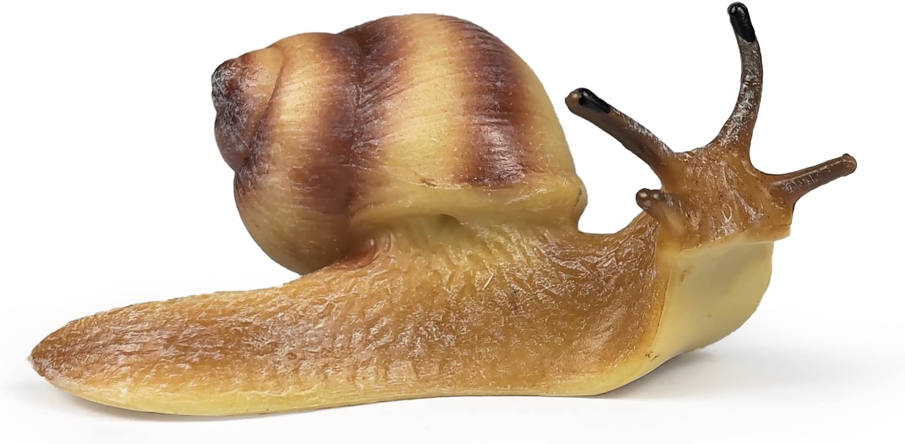 Amazon.com: NAKIMO Snail Figurine Toy Mini Animal Figures for Fairy ...