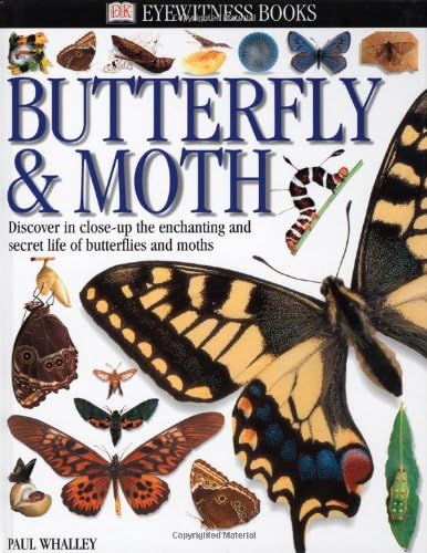 Eyewitness: Butterfly & Moth (Eyewitness Books): DK Publishing ...