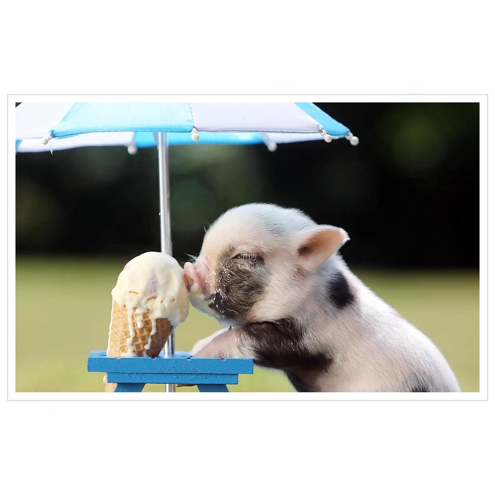 Cute Pig Eating Ice Cream