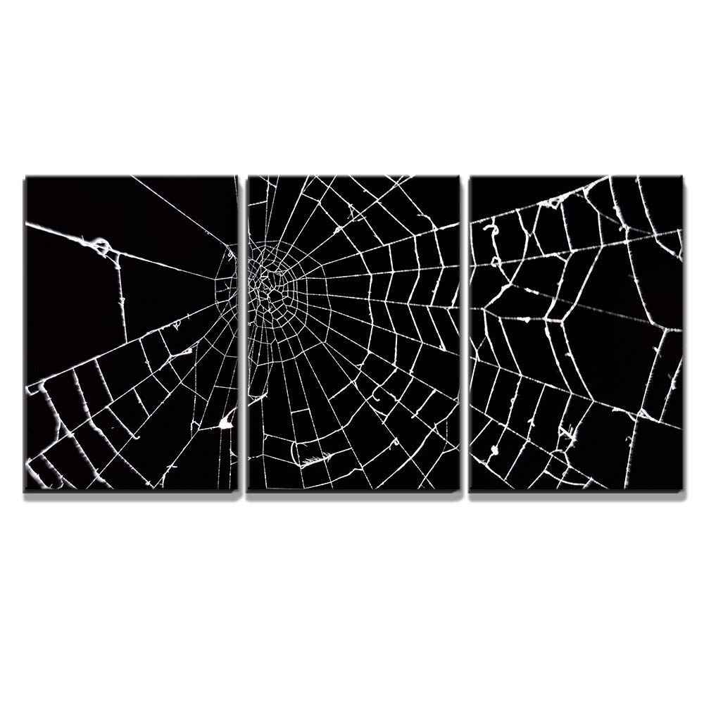 Amazon.com: wall26 - 3 Piece Canvas Wall Art - Spider Web on Black ...
