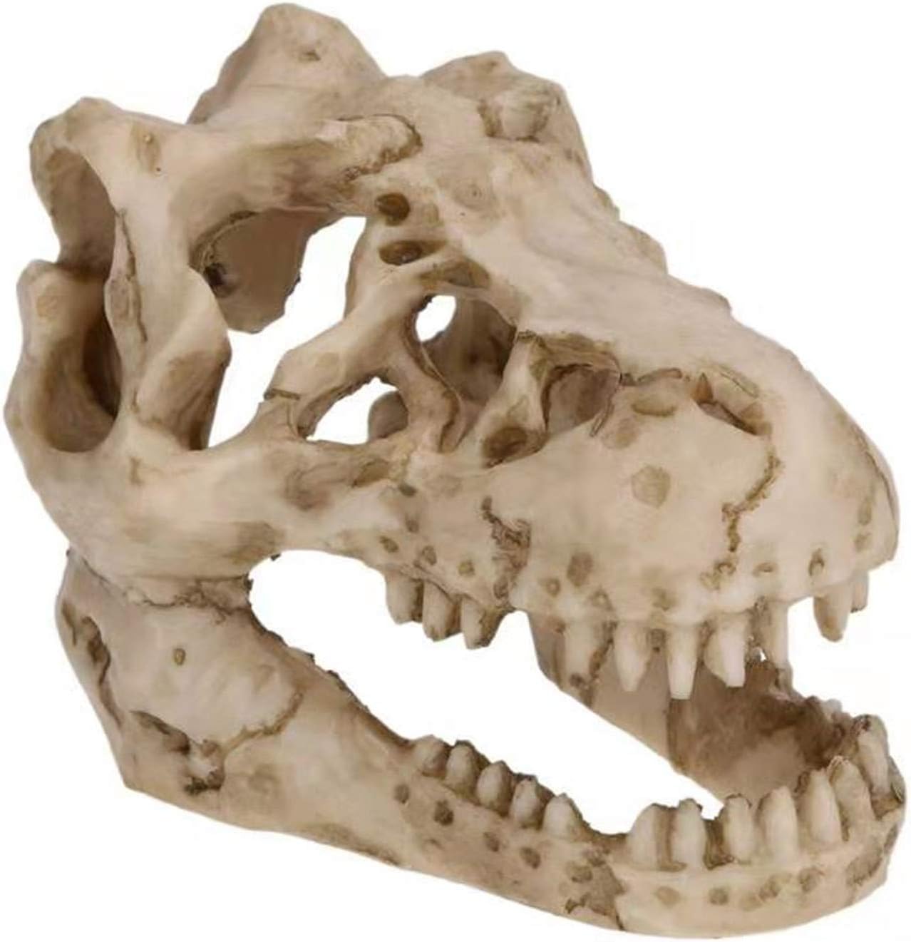 Resin Dinosaur Skeleton Replica For Desk Decor Teaching Resin Dinosaur ...