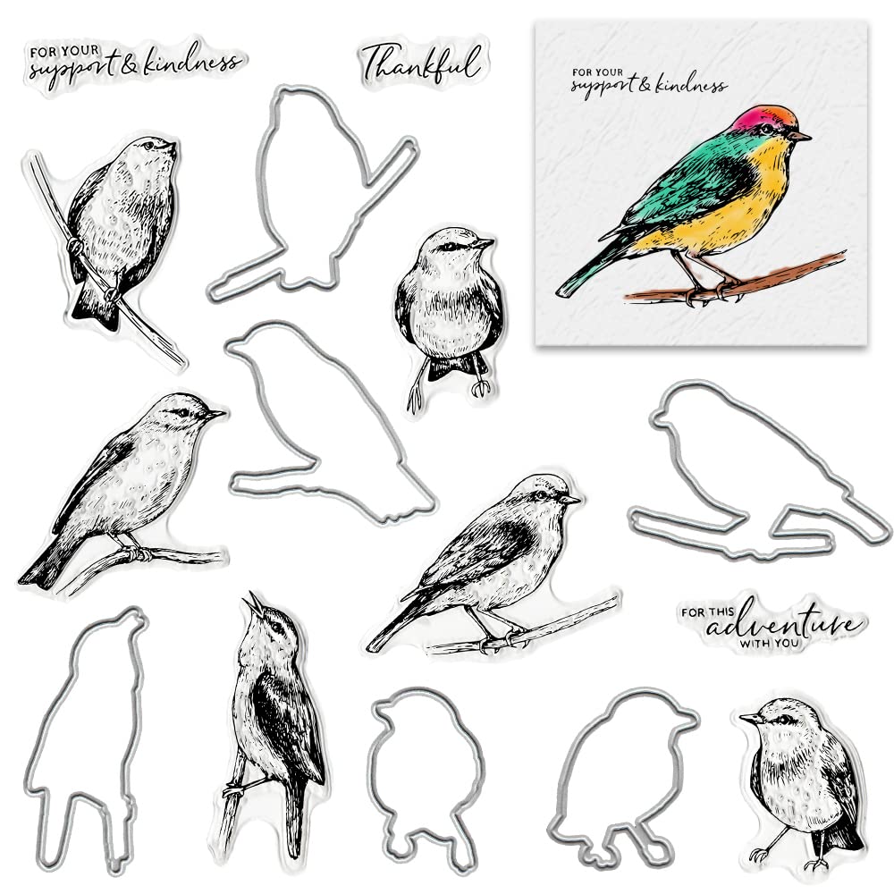 Amazon.com: Birds Words Stamps and Dies for Card Making, Birds on ...