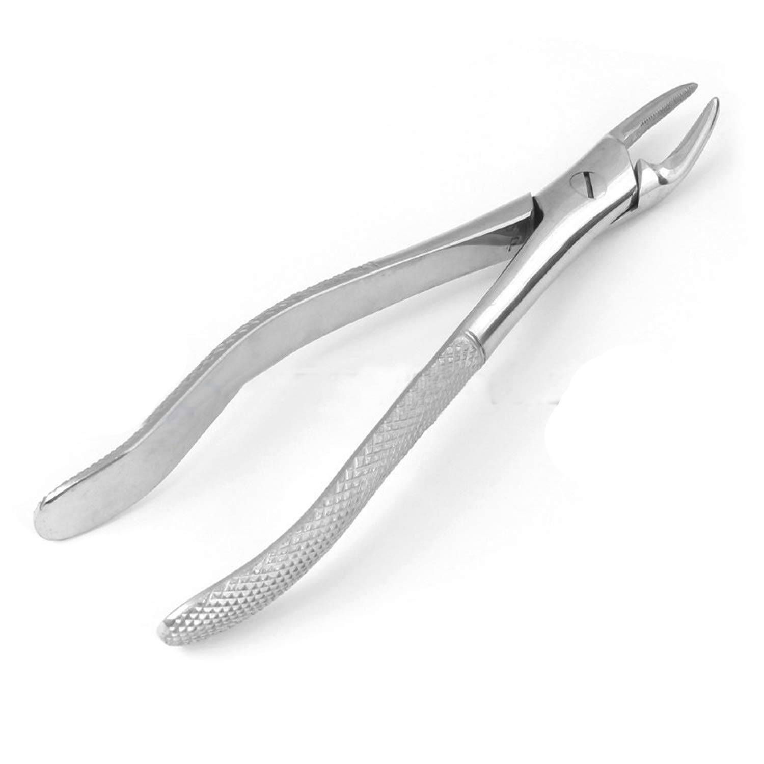 89 Right Extraction Forceps Maxillary Forceps ProDentUSA, 55% OFF