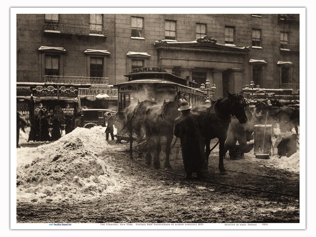 Alfred Stieglitz The Terminal