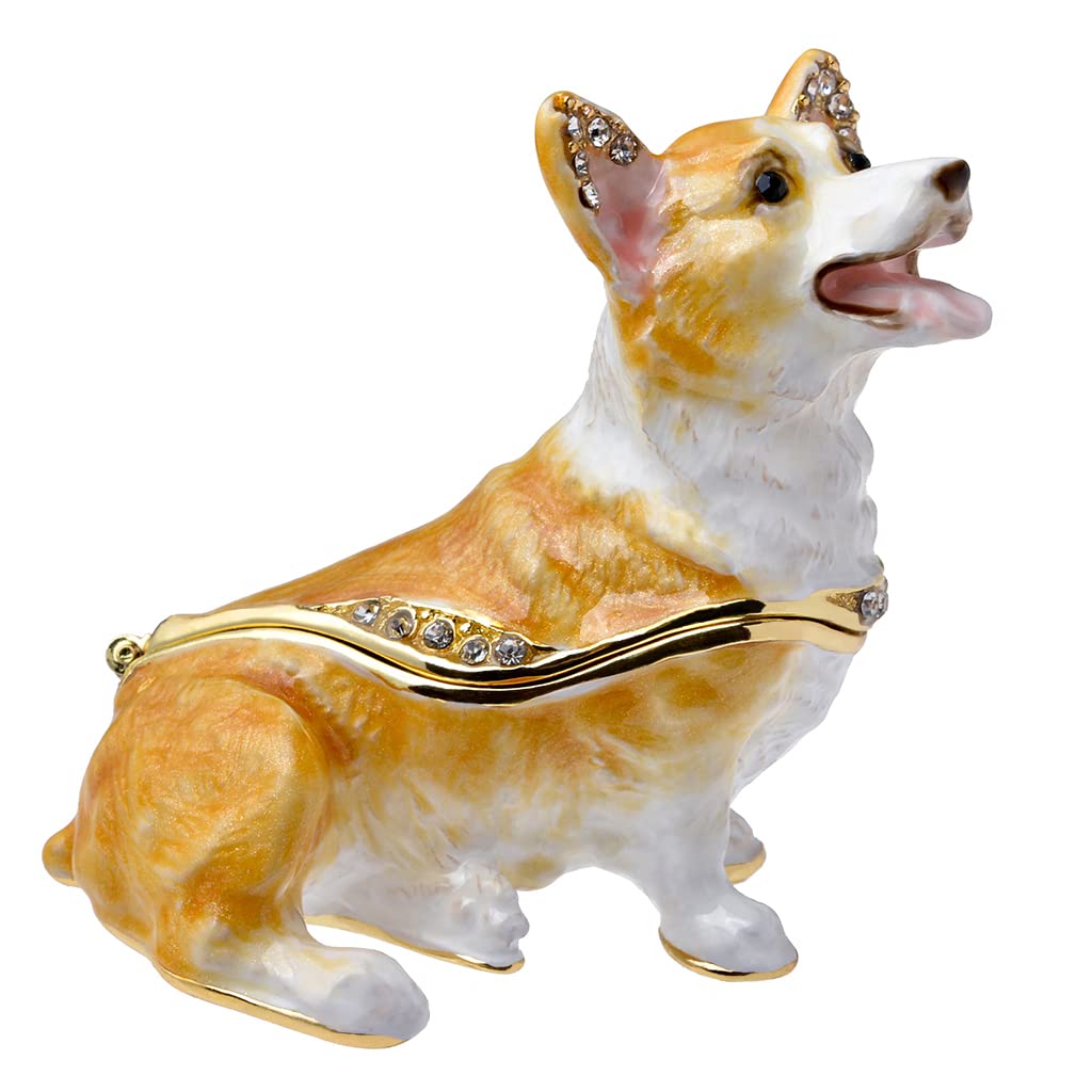 Golden Corgi