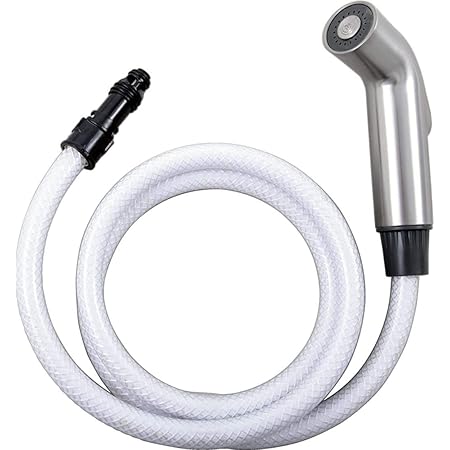 Delta Faucet RP53880 Pilar, Spray, Hose and Diverter Assembly, Chrome ...