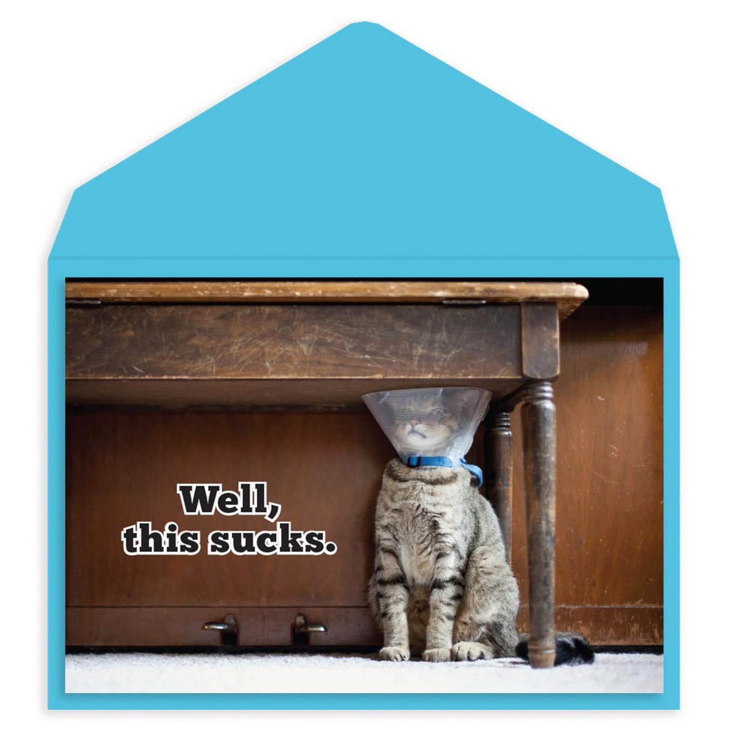 Get Well Soon Meme Cat