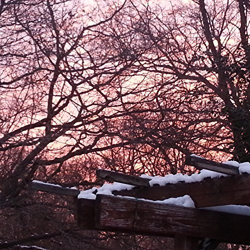 New Year (feat. Kent Taylor, Kai Liebert, Brice Cross & Bill Watkins ...