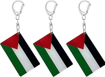 RUKlTU 3Pack Palestine Flag Keychain Palestinians Flags Key Ring ...
