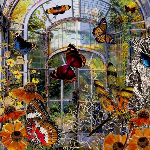 Play Butterflies by Demian Slade on Amazon Music